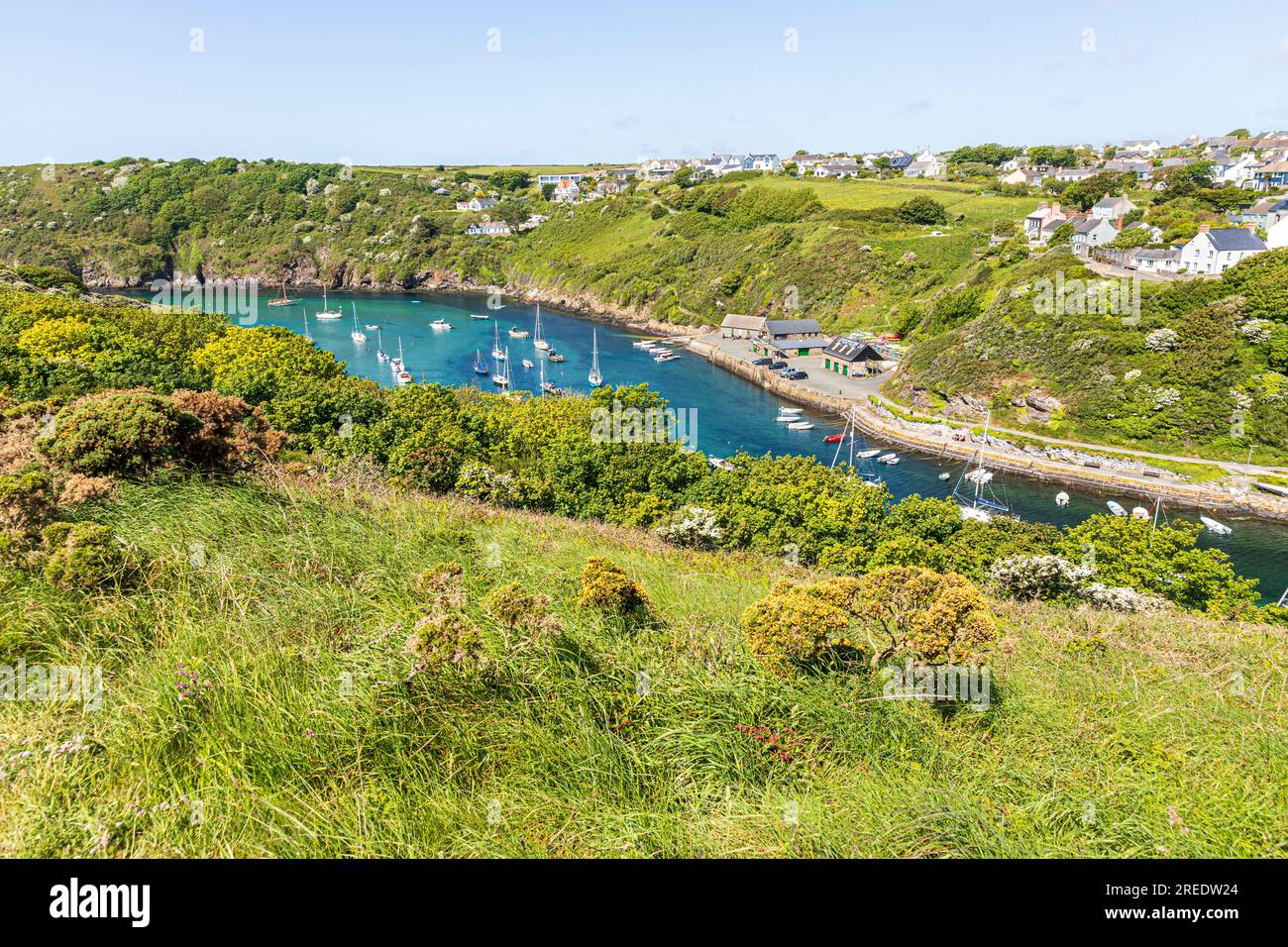 Solva Harbour in the estuary of the River Solva viewed from The Gribin ...