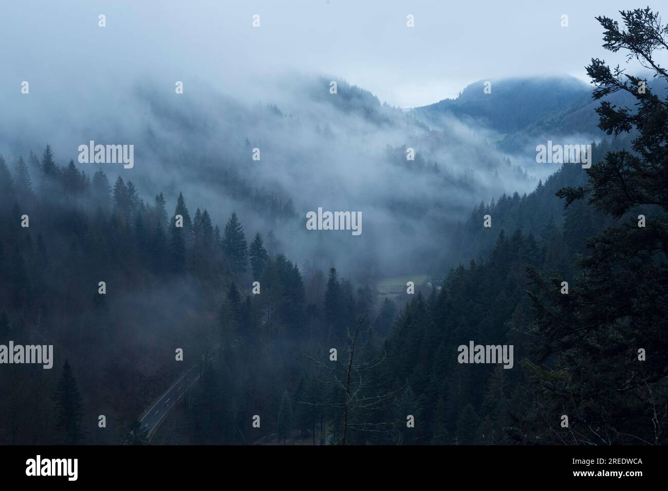 Epic mountain forest hi-res stock photography and images - Alamy