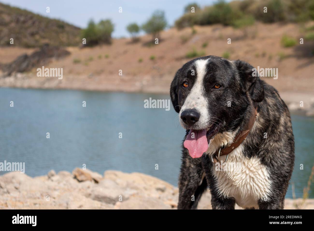 Leonese people hi-res stock photography and images - Alamy