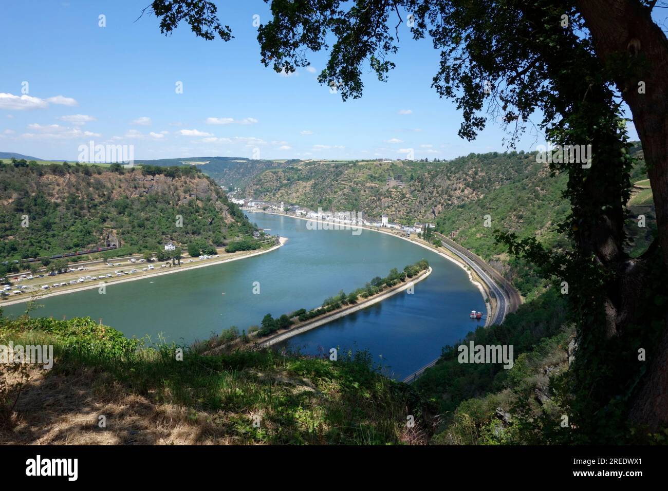 View north along the Rhine from the Loreley, Germany Stock Photo - Alamy