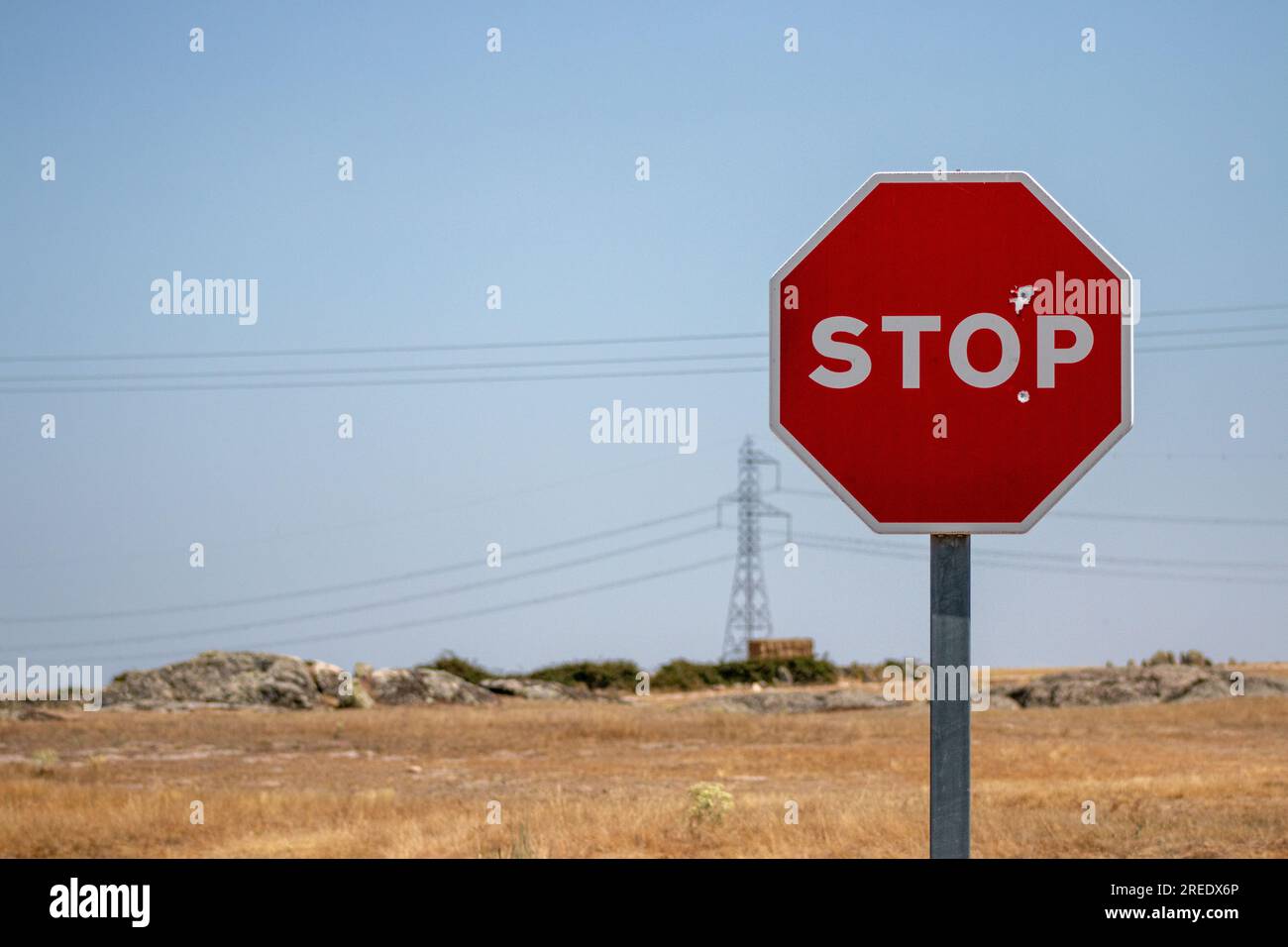 Stop sign, which has been shot with a firearm, in the background you ...