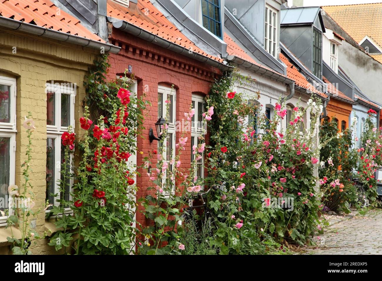 Traditional small cottages in Møllestien, Aarhus, Denmark Stock Photo ...
