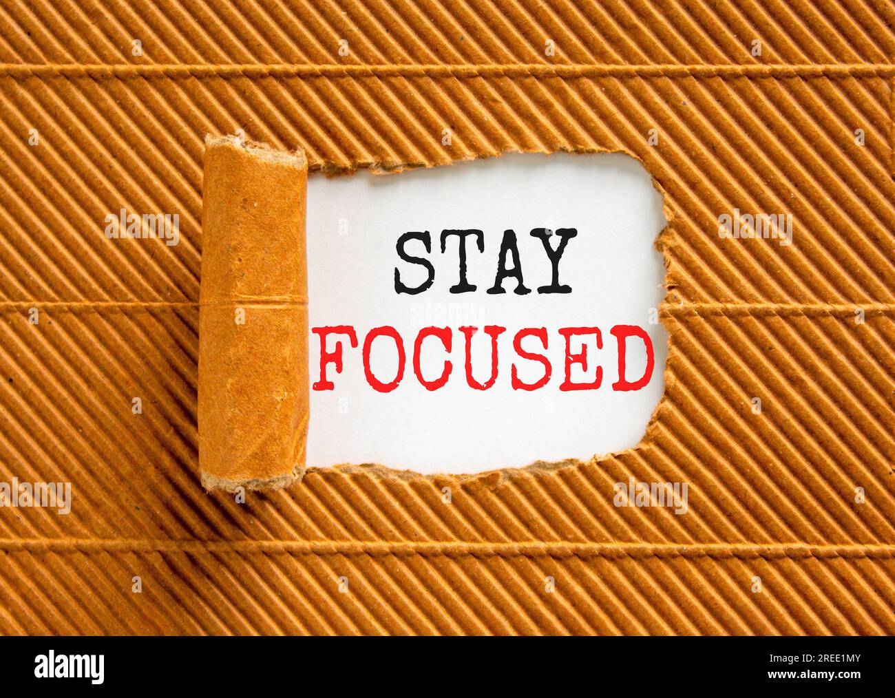 Stay focused symbol. Concept words Stay focused on beautiful white ...