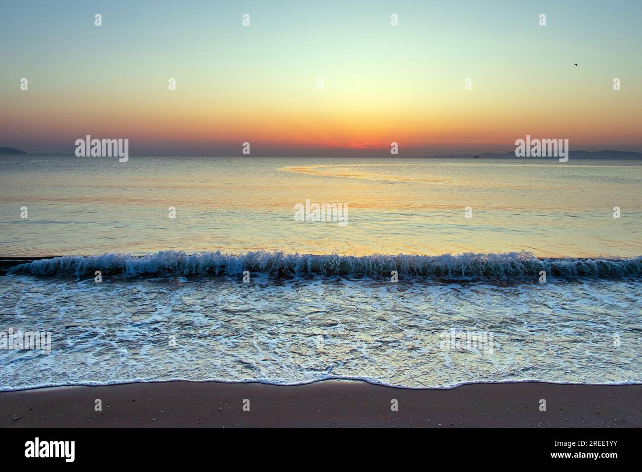 Golden Horizon: Mesmerizing Sunset Beach Scene Stock Photo - Alamy Golden Horizon: Mesmerizing Sunset Beach Scene Stock Photo - Alamy