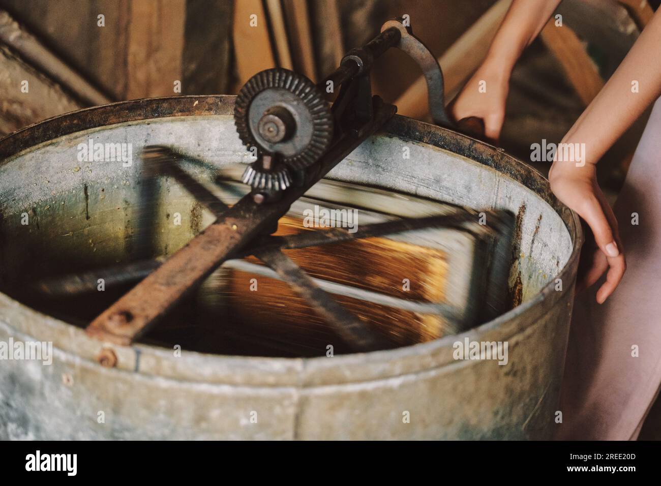 The process of extracting honey from bee honeycombs Stock Photo - Alamy