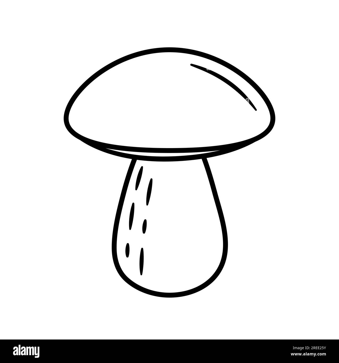 Mushroom. Hand drawn sketch forest element. Isolated vector ... Mushroom. Hand drawn sketch forest element. Isolated vector ...