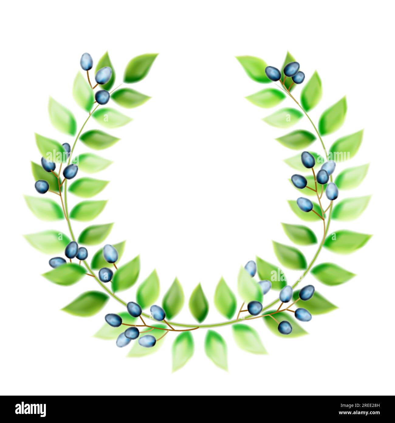 Watercolor olive branch wreath. Hand drawn natural vector frame Stock ...