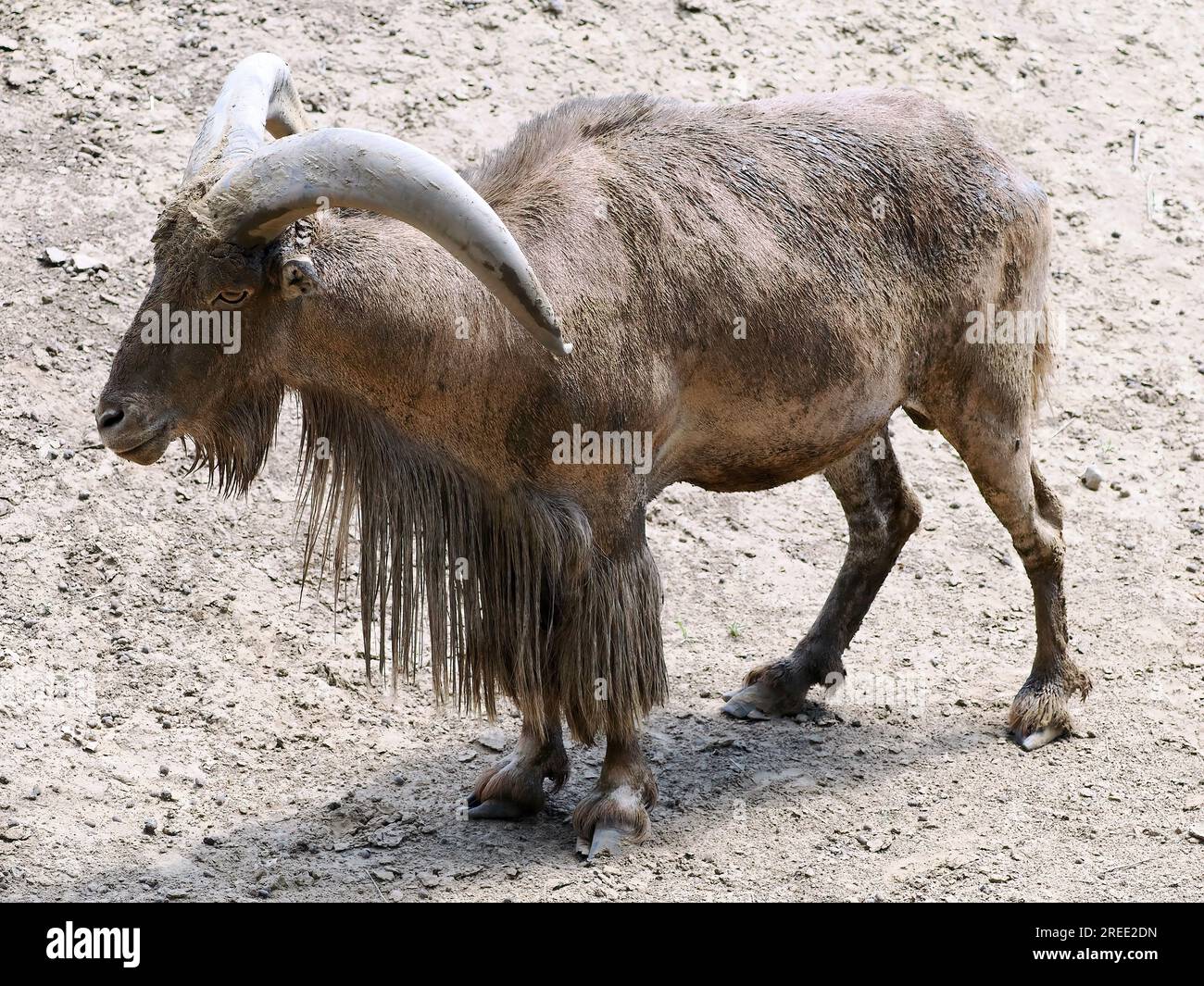 Sorenyes juh hi-res stock photography and images - Alamy