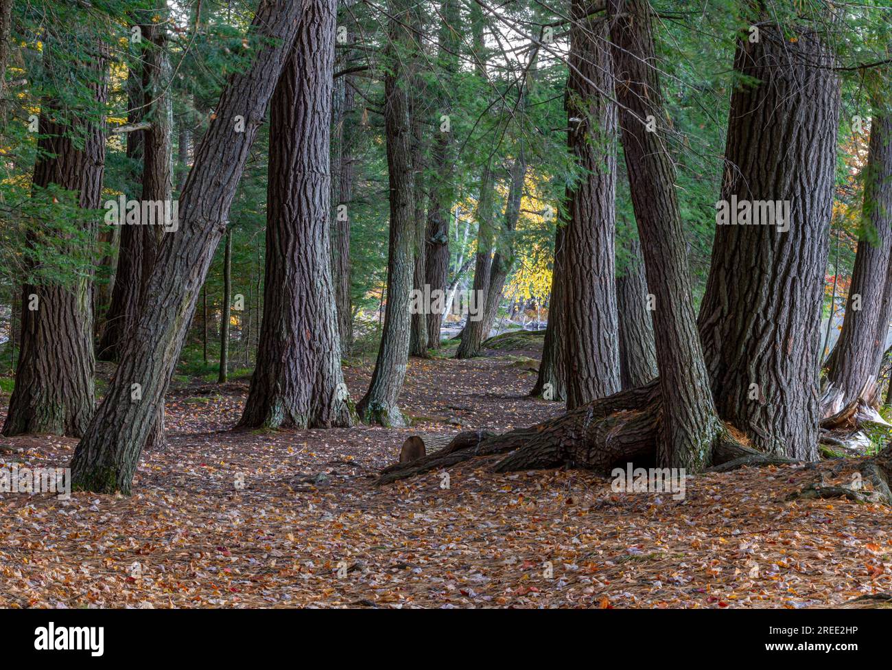 Lost lake wisconsin hi-res stock photography and images - Alamy