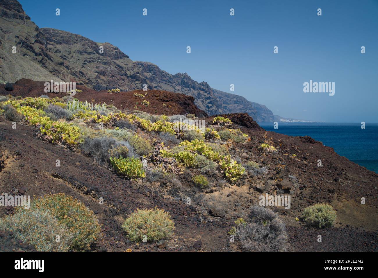 Biodiversidad de la isla hi-res stock photography and images - Alamy