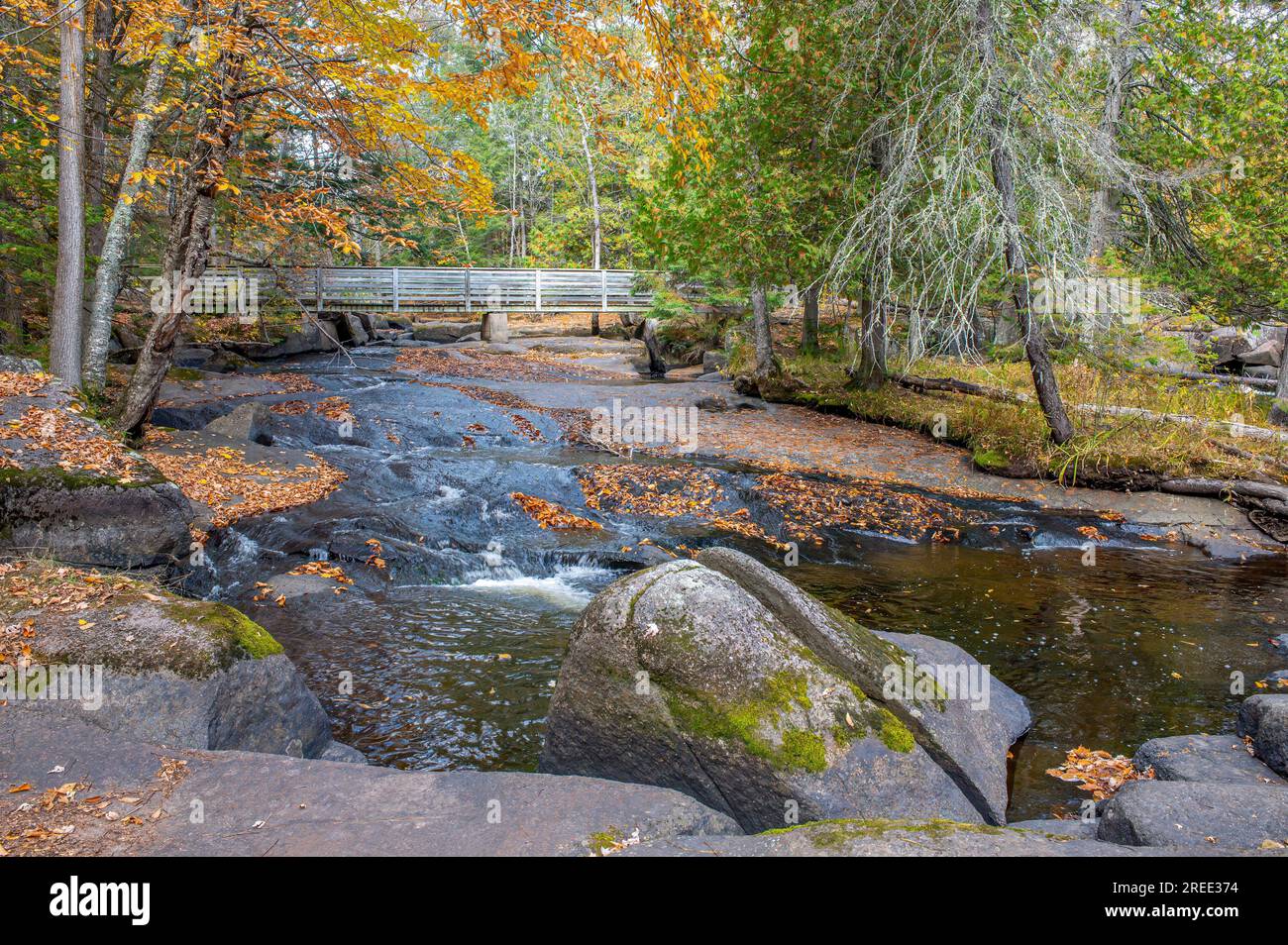 Goodman creek hi-res stock photography and images - Alamy
