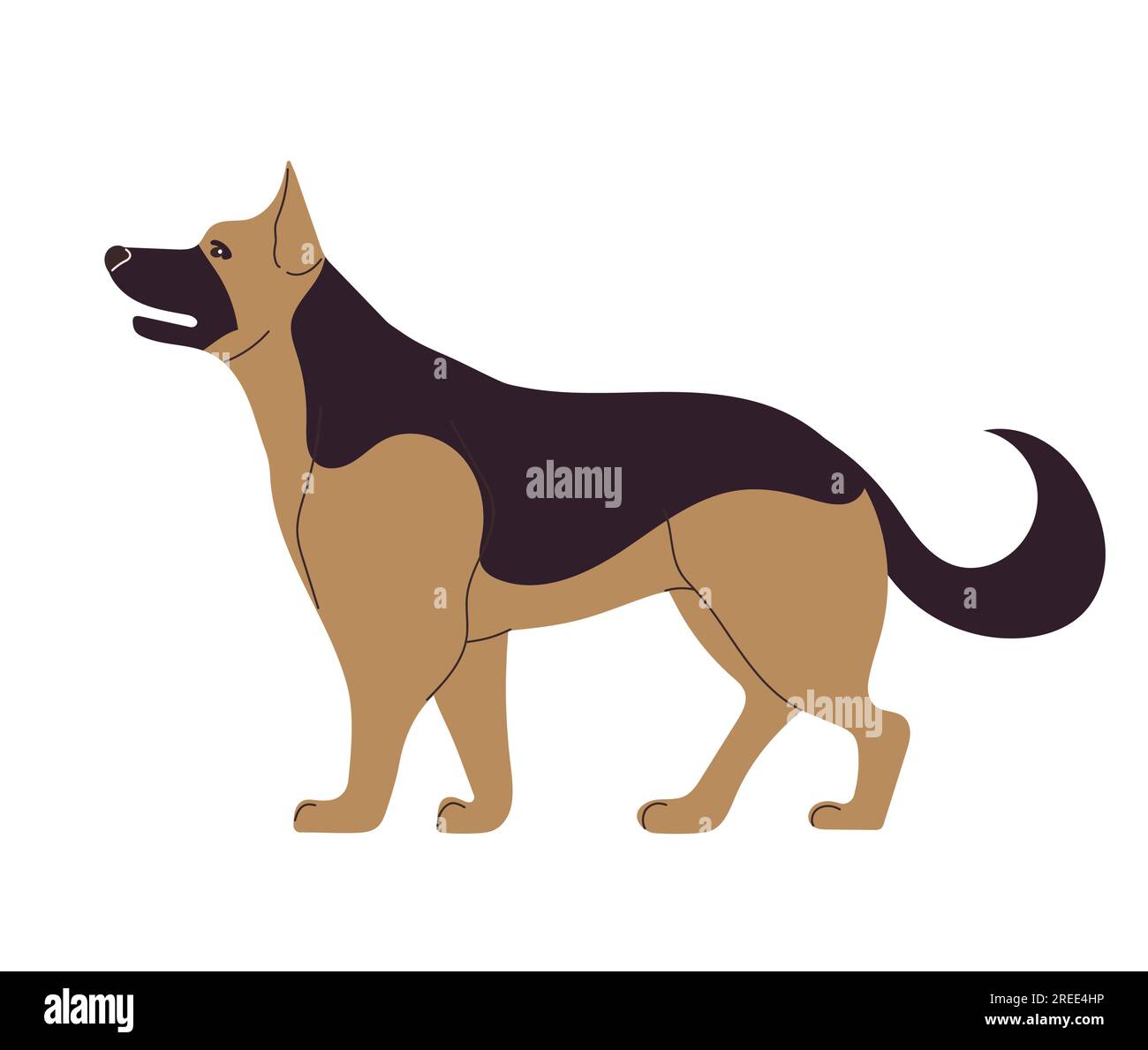 Hand drawn German Shepherd dog breed. Vector illustration isolated on ...