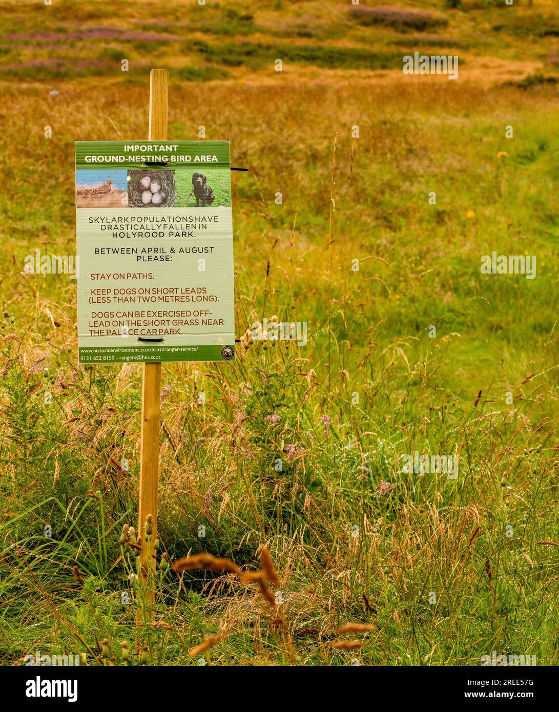 Information sign about keeping your dogs on a leash at Arthur Seat ...