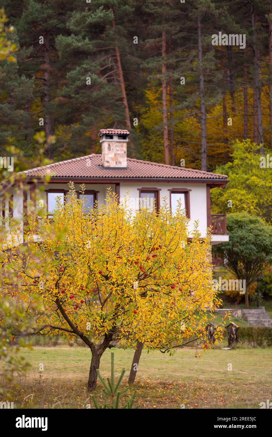 Autumn landscape with traditional bulgarian house, colorful trees ...
