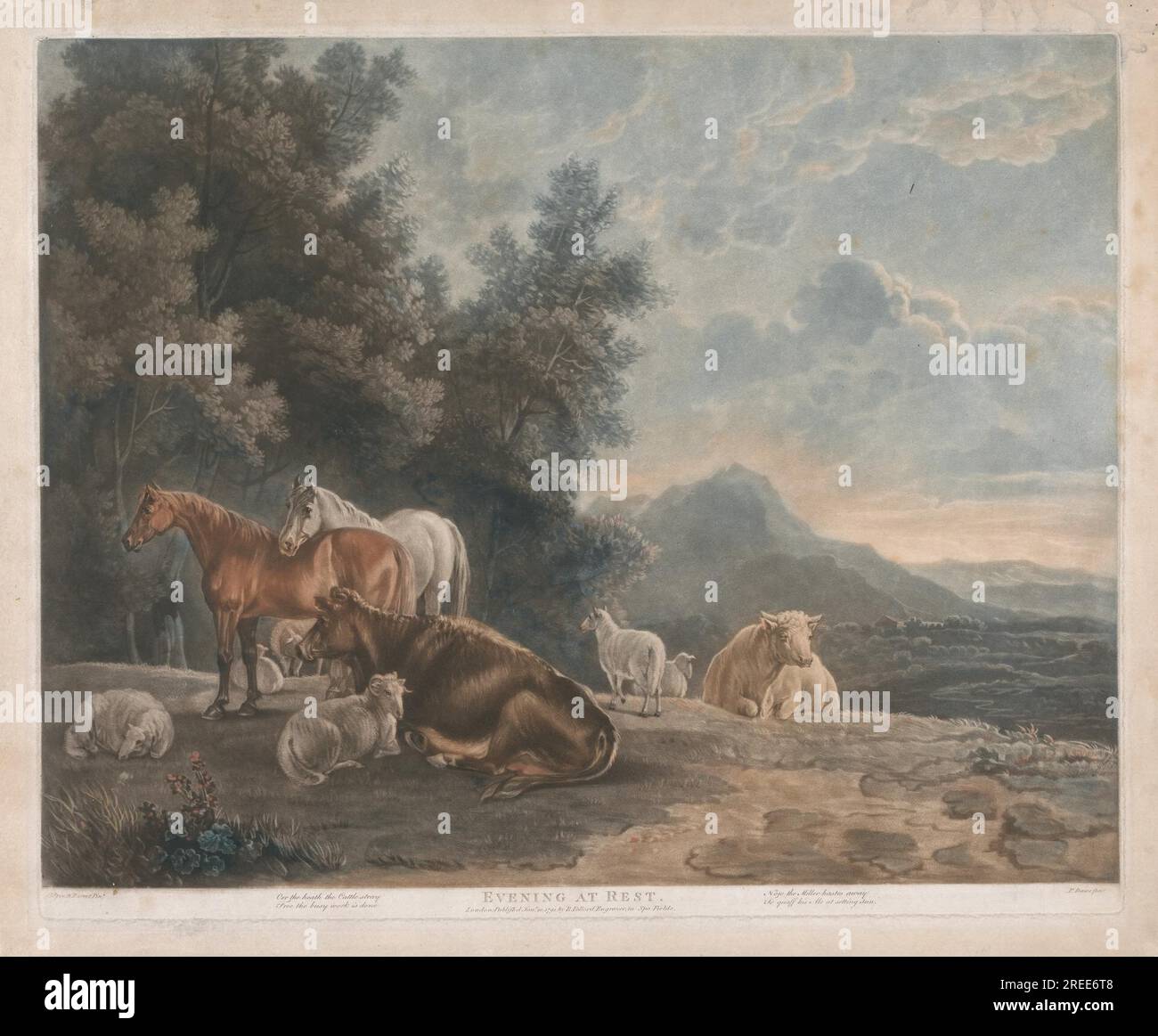 Philip dawe dawe hi-res stock photography and images - Alamy