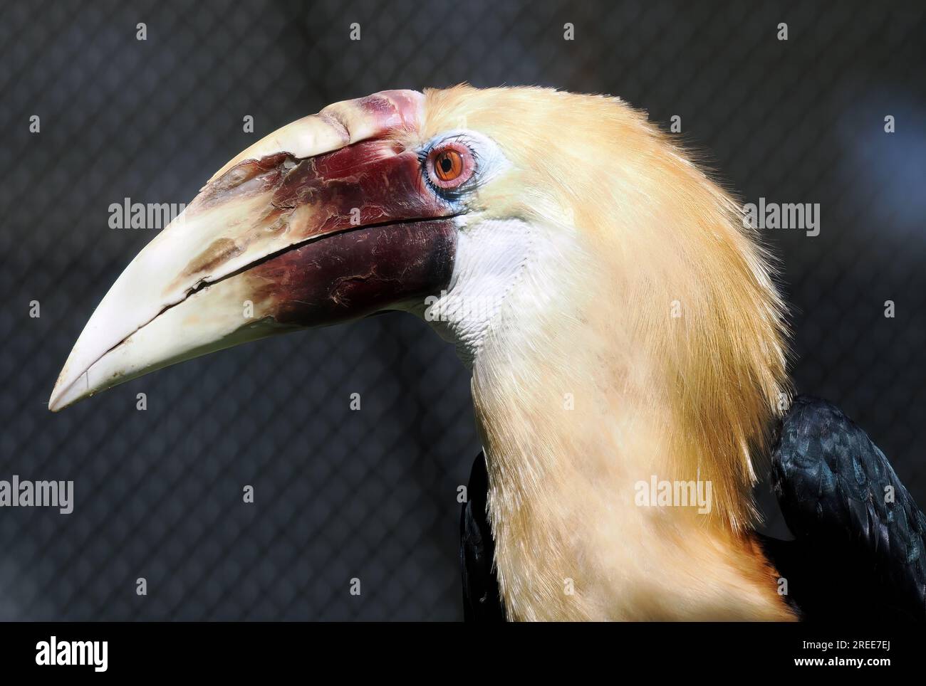 Kokomo hi-res stock photography and images - Alamy