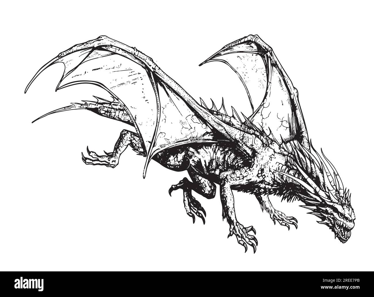 Dragon attacking mystical sketch drawn in doodle style illustration ...