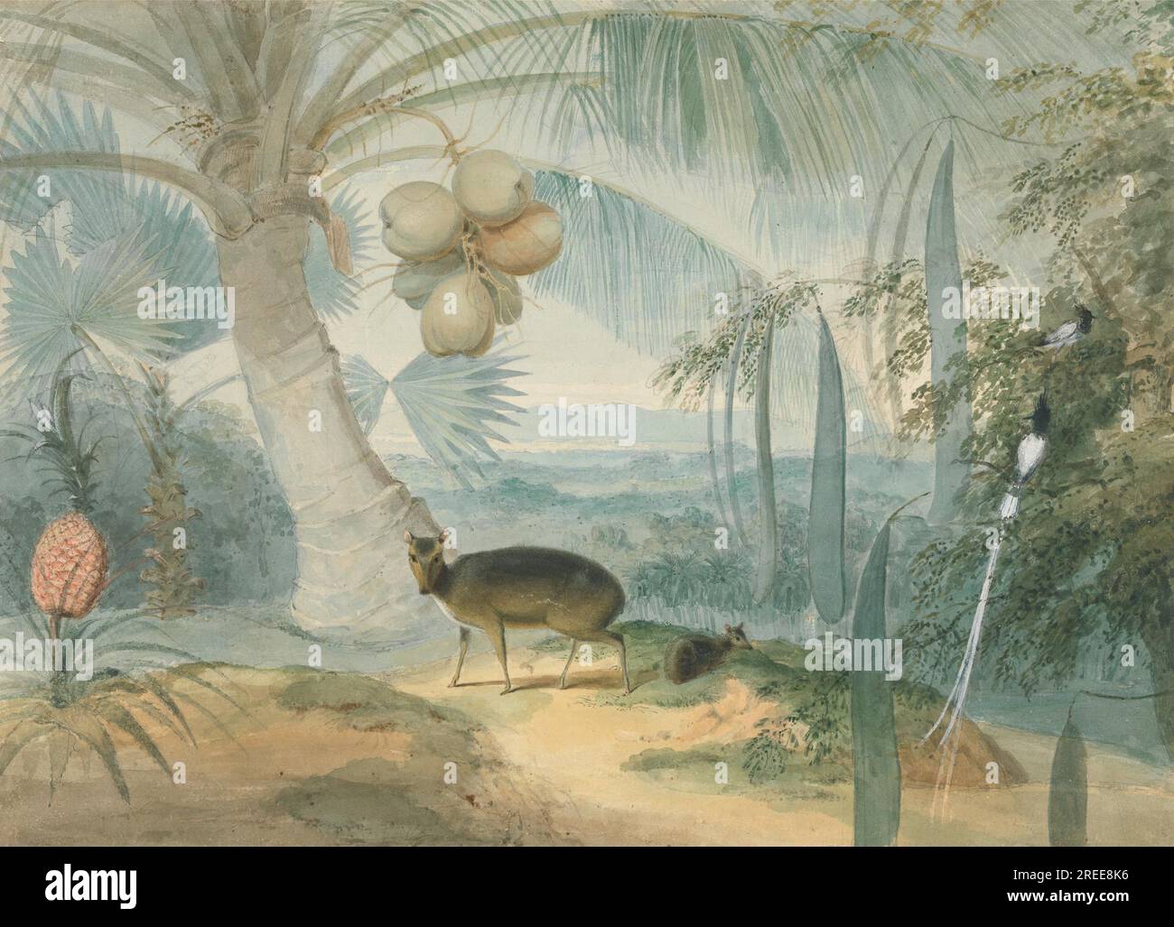 A Landscape in Ceylon, With Barking Deer and Fawn and a Pair of ...