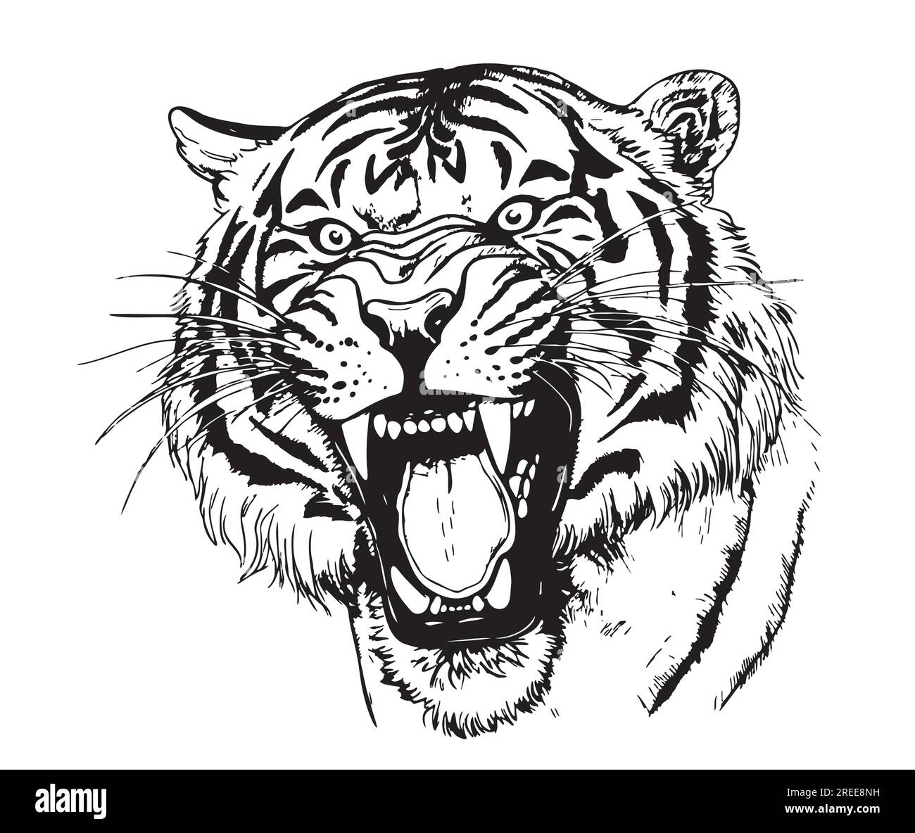White Tiger Face Growling