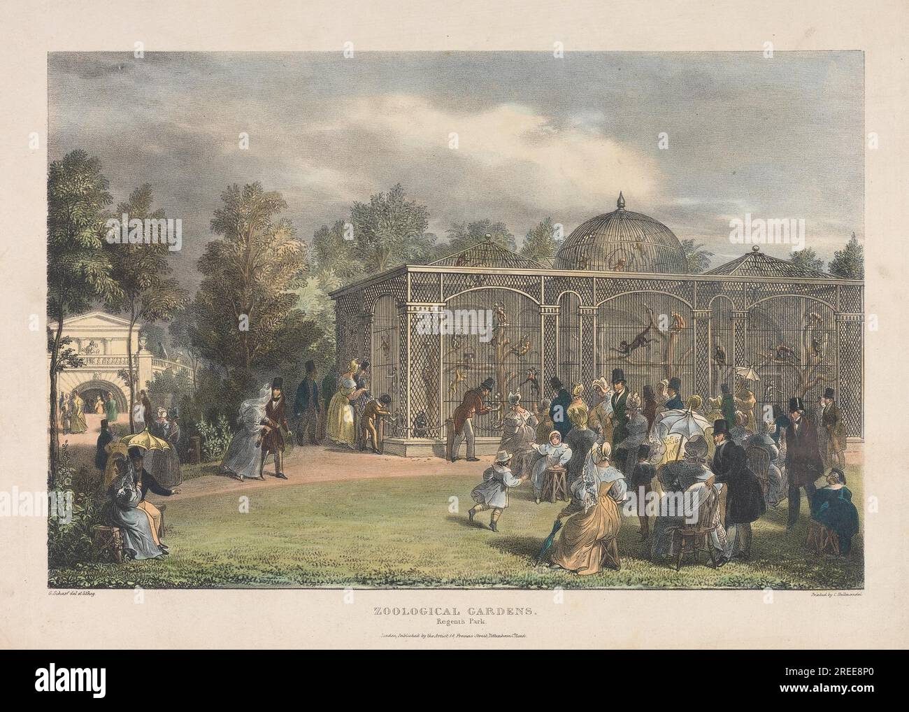 Zoological gardens regent's park hi-res stock photography and images ...