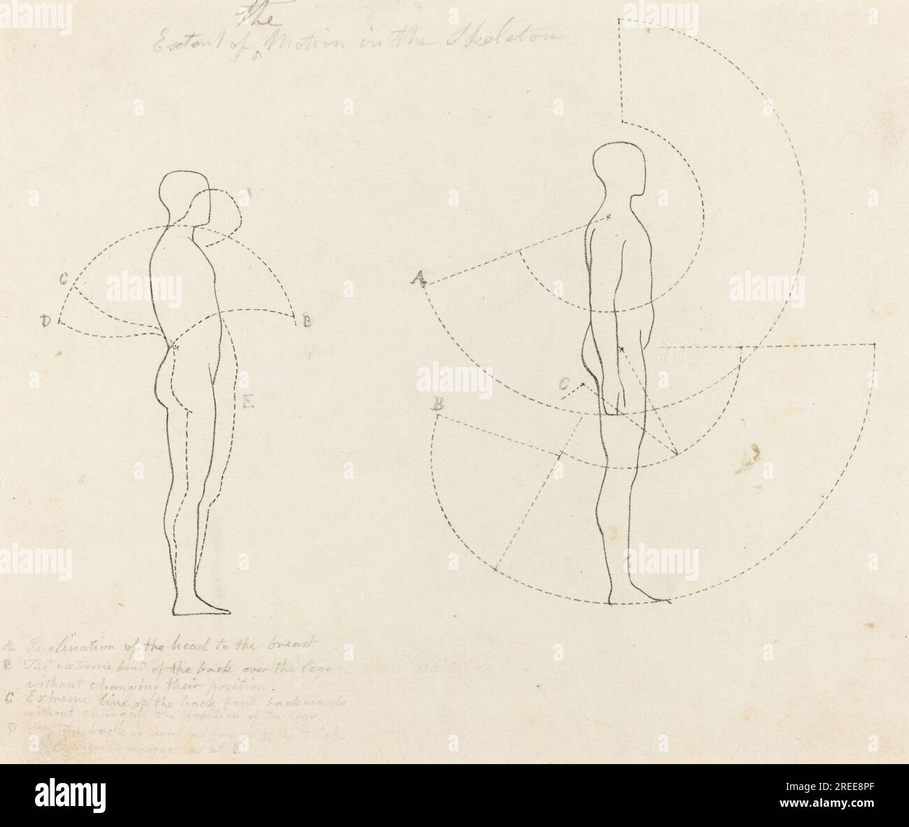 "George Scharf after John Flaxman, Extent of Motion Shown in Two ...
