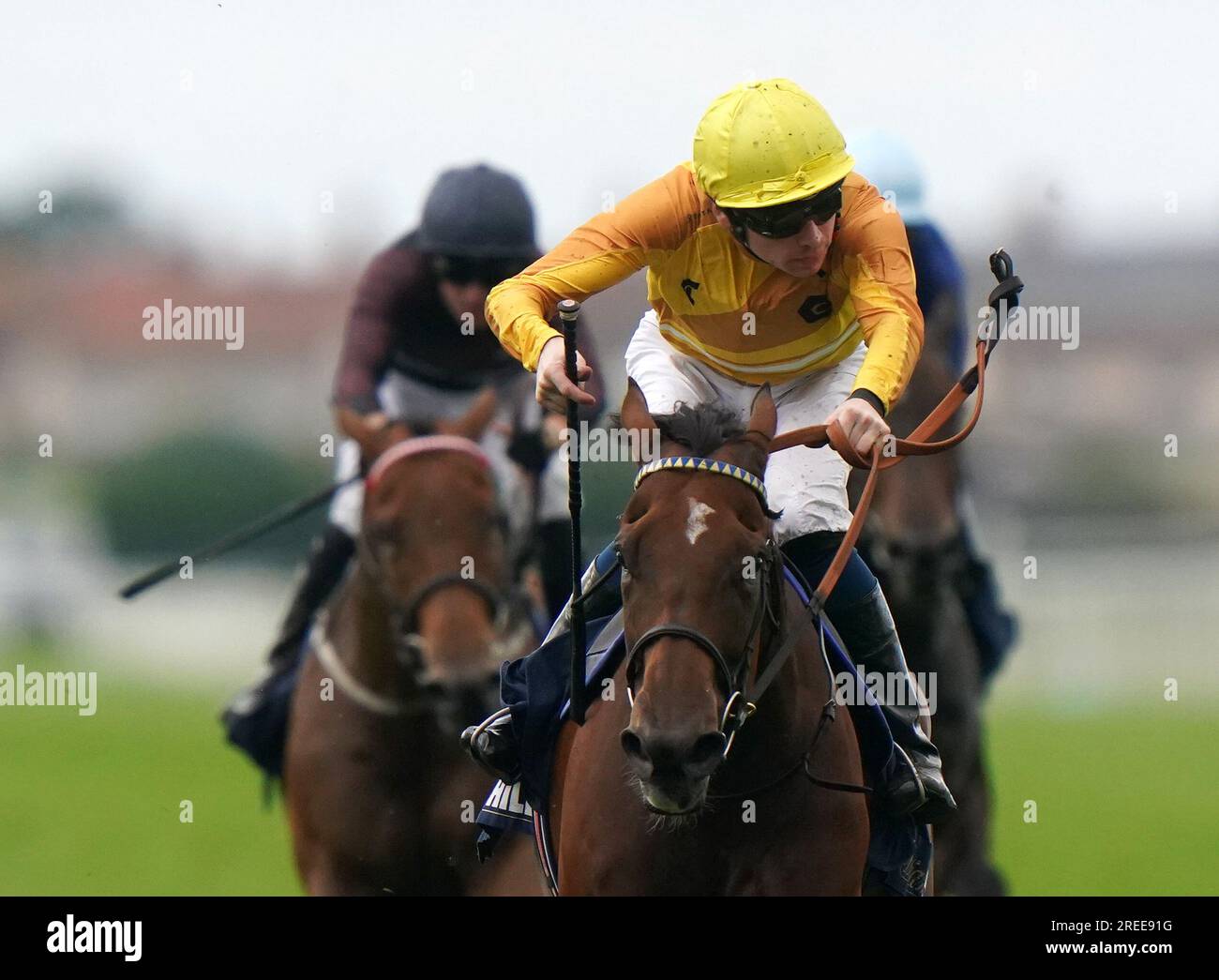 Farhh to shy hi-res stock photography and images - Alamy