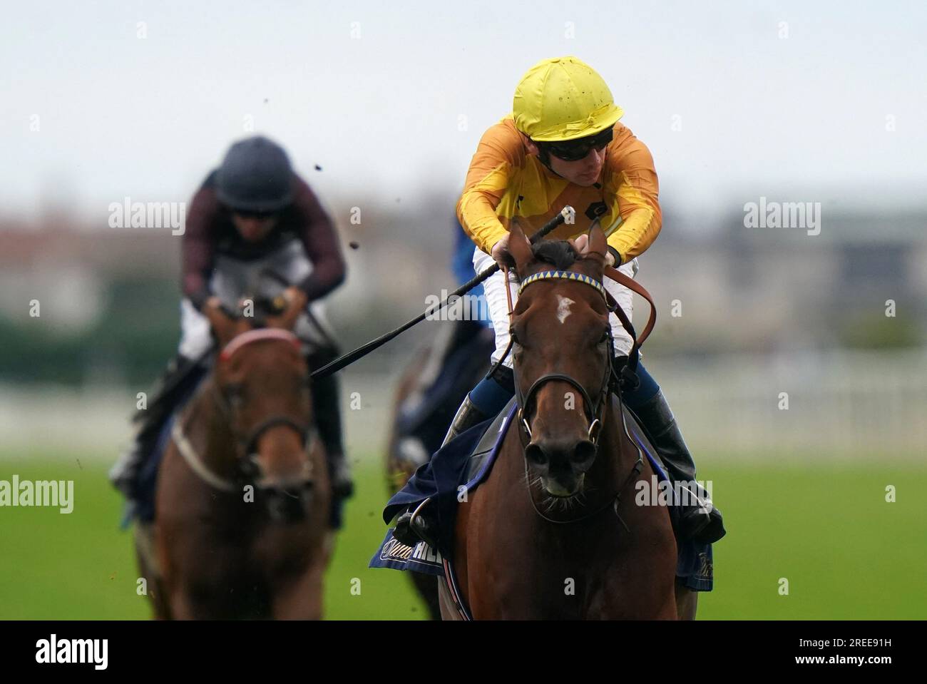 Farhh to shy hi-res stock photography and images - Alamy