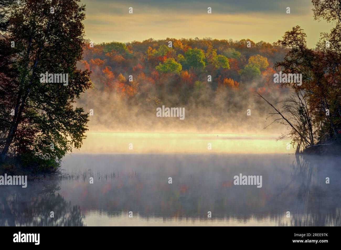 The Cheqamegon Nicolet National Forest covers more than 1.5 million ...