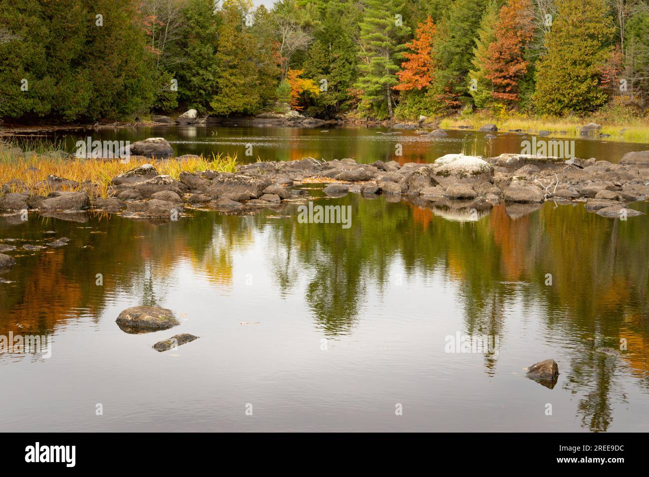 The Cheqamegon Nicolet National Forest covers more than 1.5 million ...