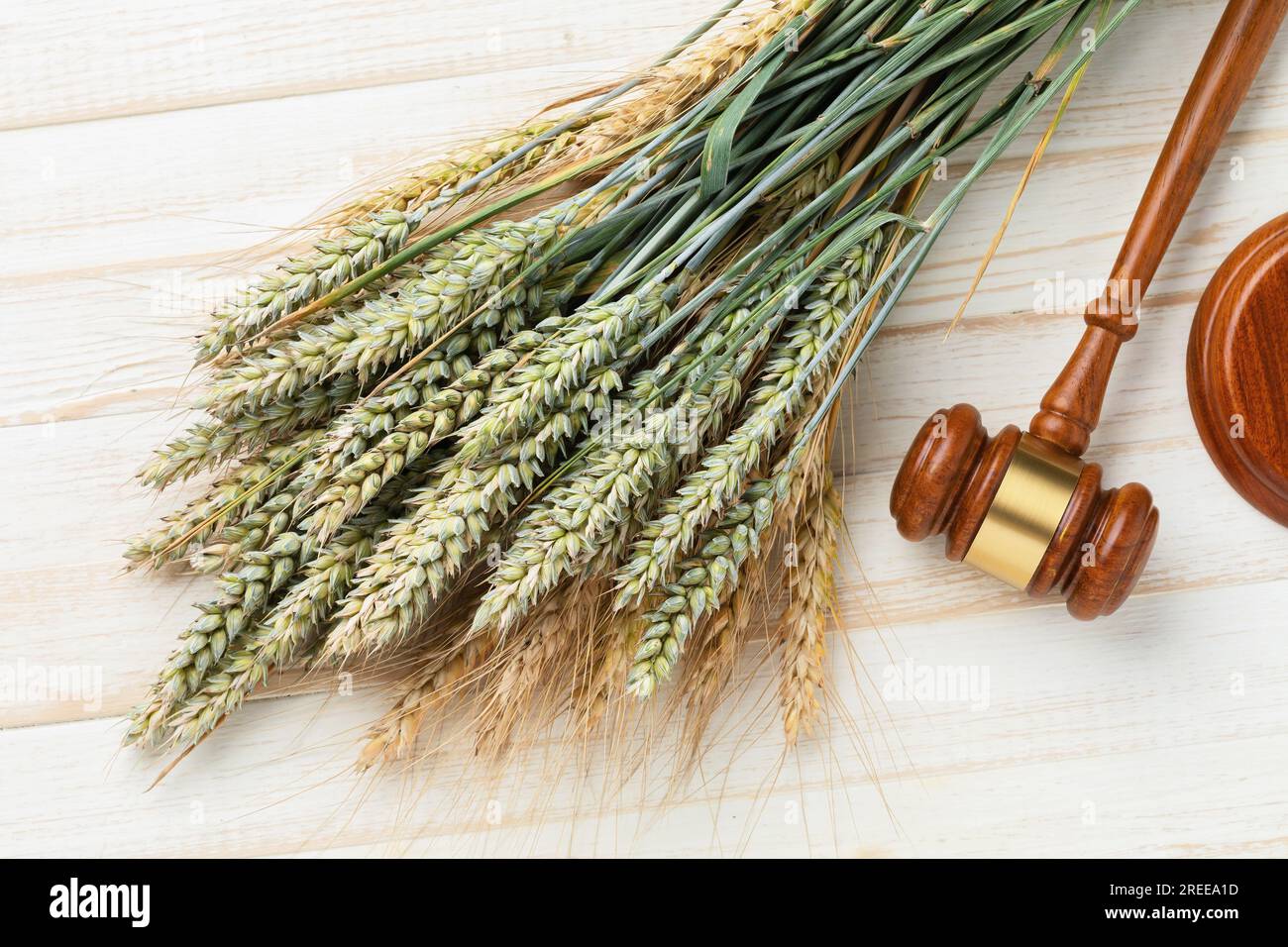 Hammer and ears of wheat with barley on a light wooden background ...