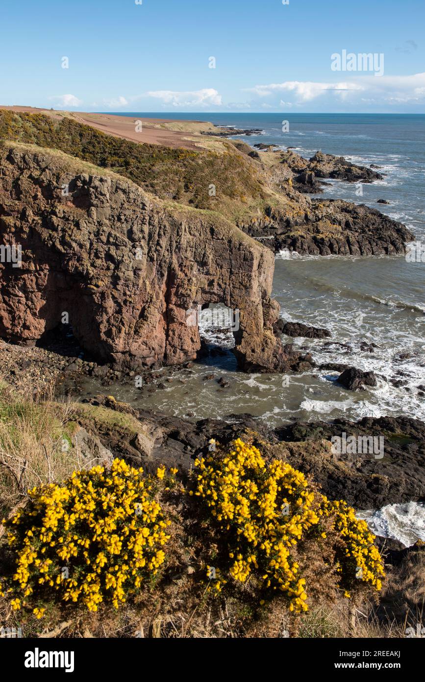 Elephant Rock, between Montrose and Lunan Bay, Angus, Scotland Stock ...