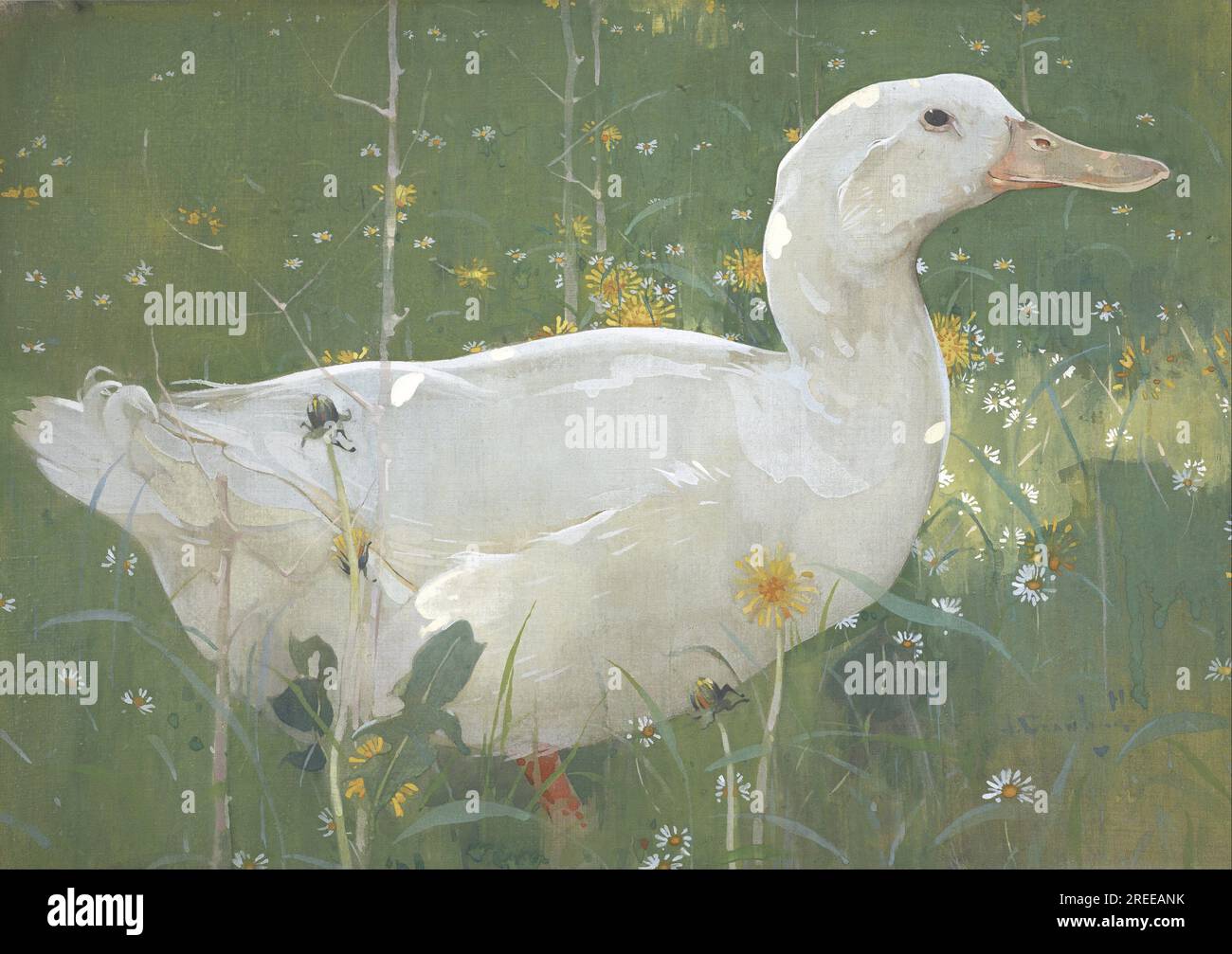 The White Drake 1895 by Joseph Crawhall Stock Photo - Alamy