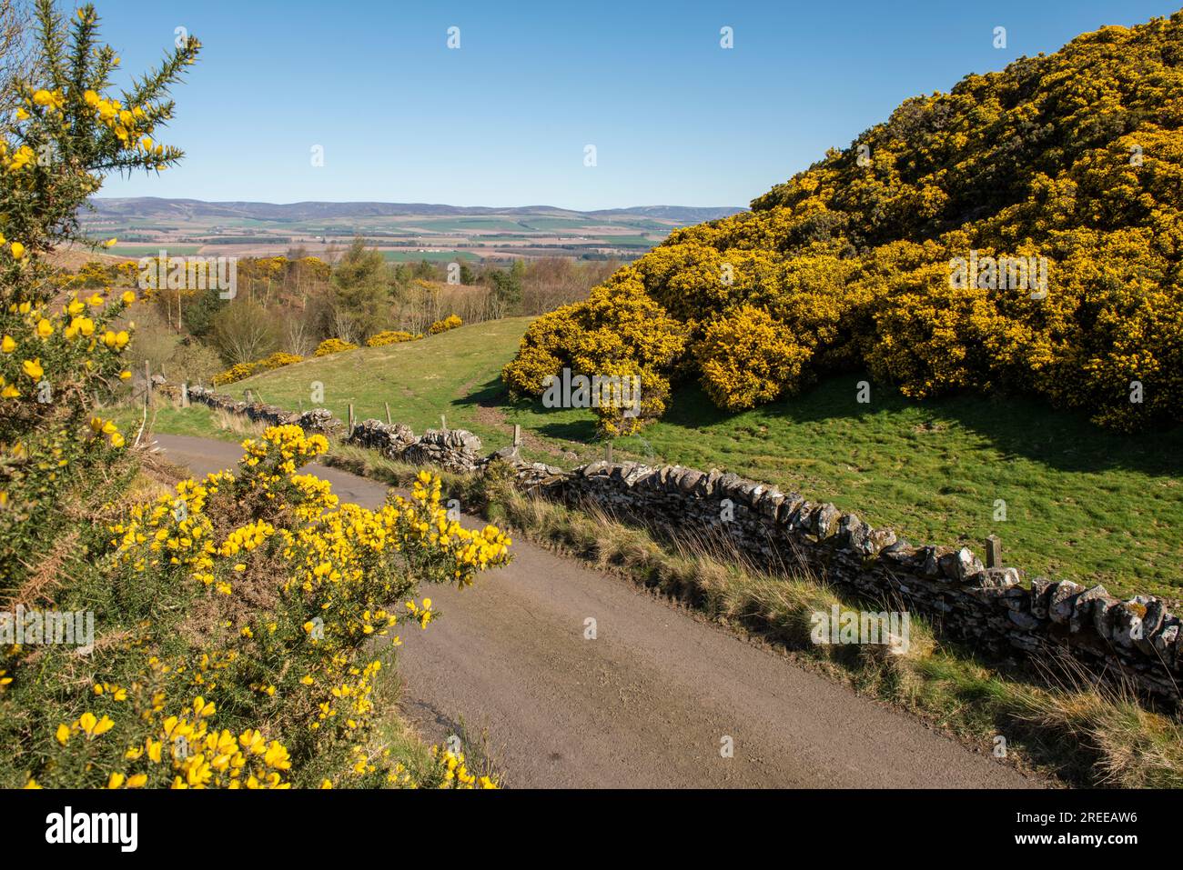 Scottish hill track hi-res stock photography and images - Alamy