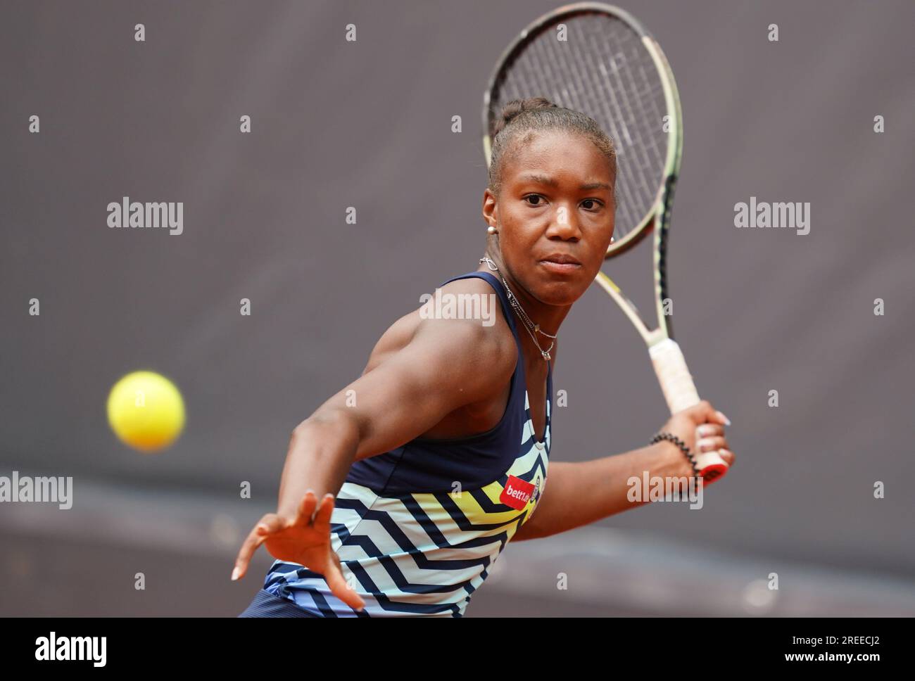 Noma noha akugue hi-res stock photography and images - Alamy