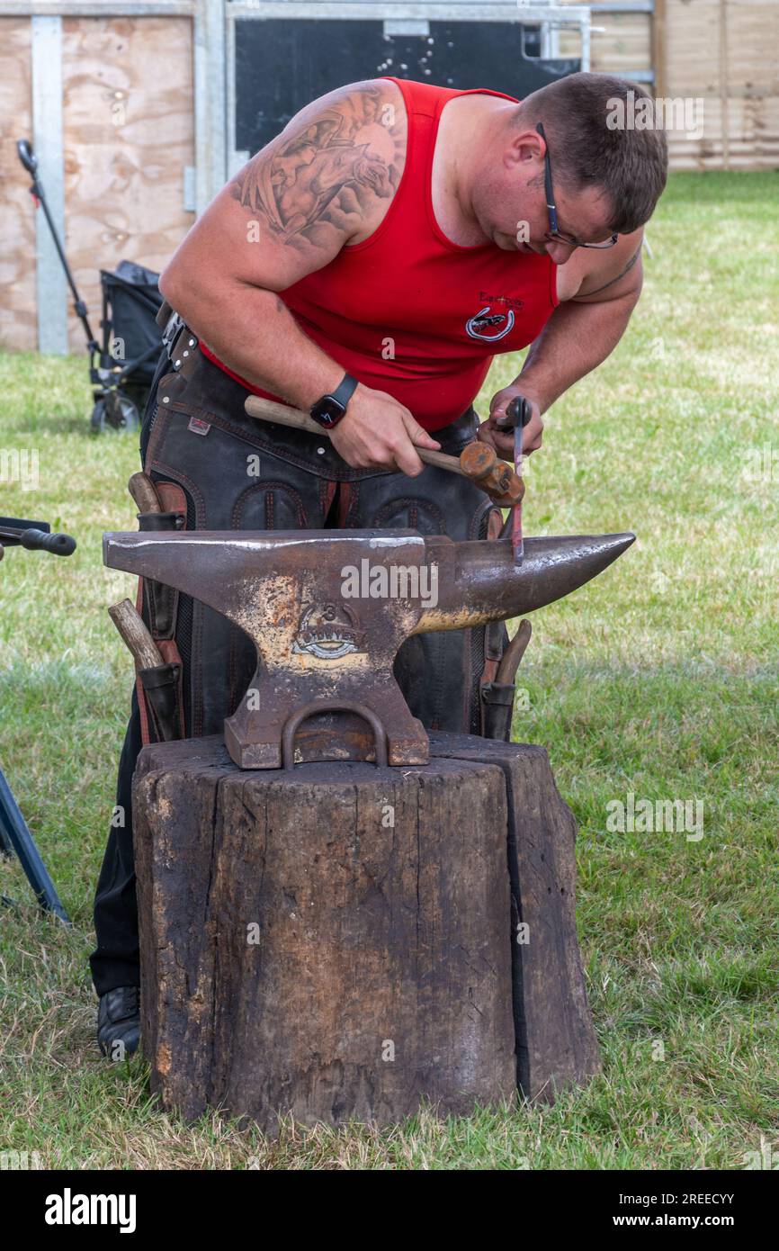 The New Forest and Hampshire County Show in England, UK, July 2023 ...