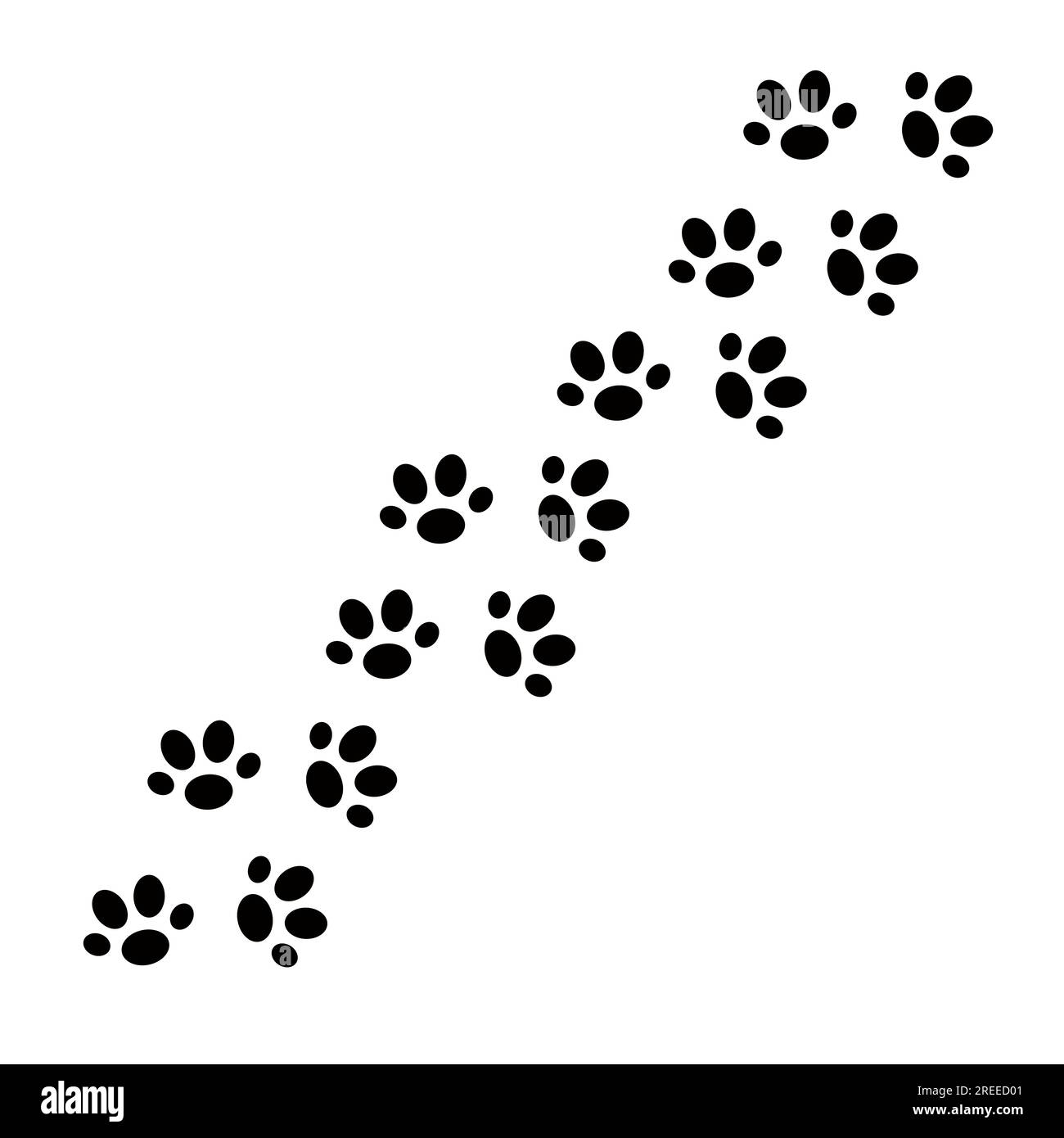 Cat animal paw prints path simple cartoon vector illustration, domestic ...