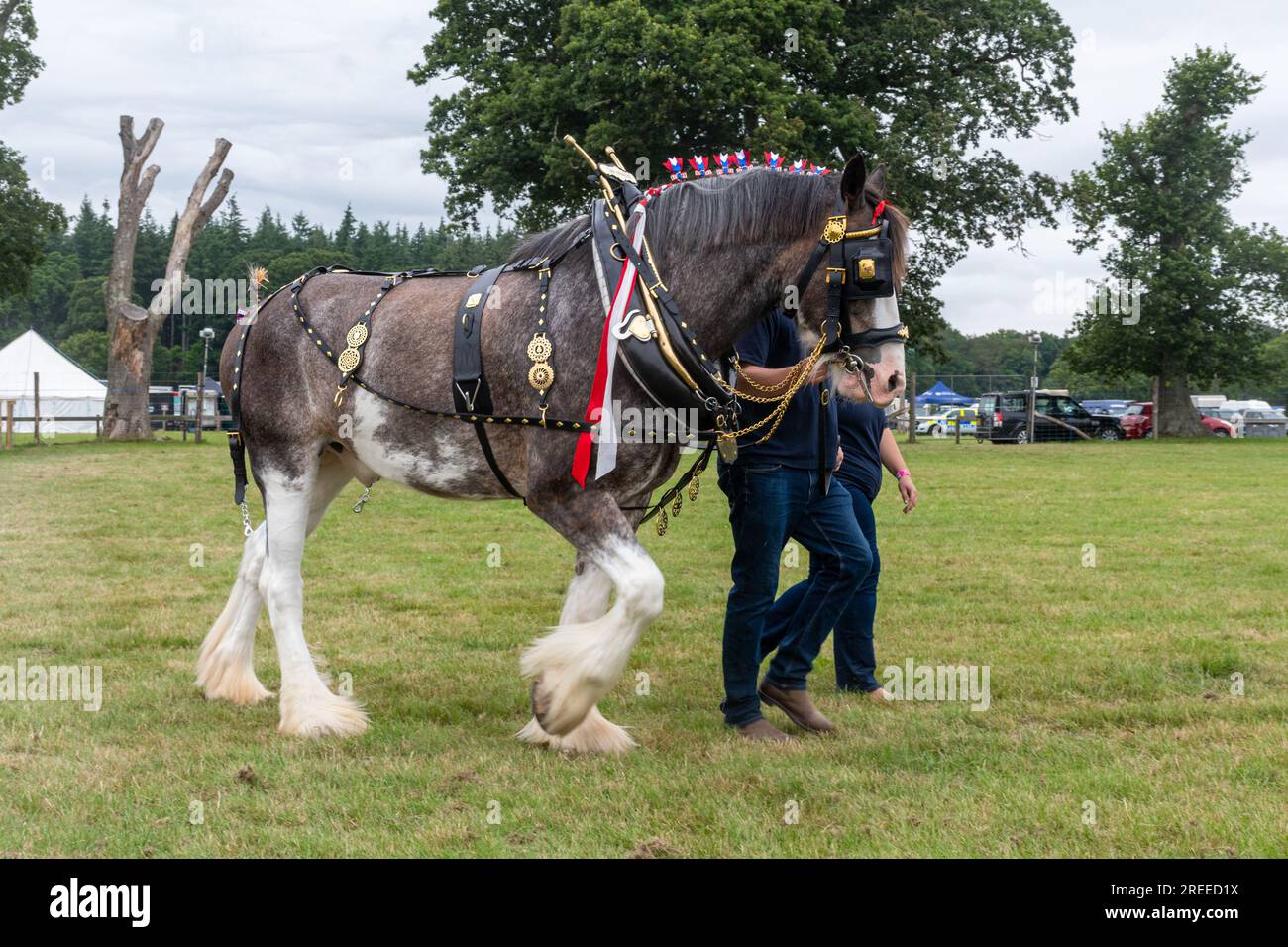 The New Forest and Hampshire County Show in England, UK, July 2023 ...