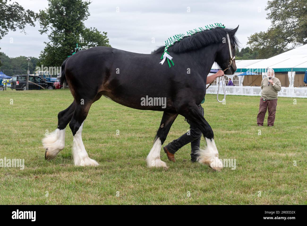 The New Forest and Hampshire County Show in England, UK, July 2023 ...