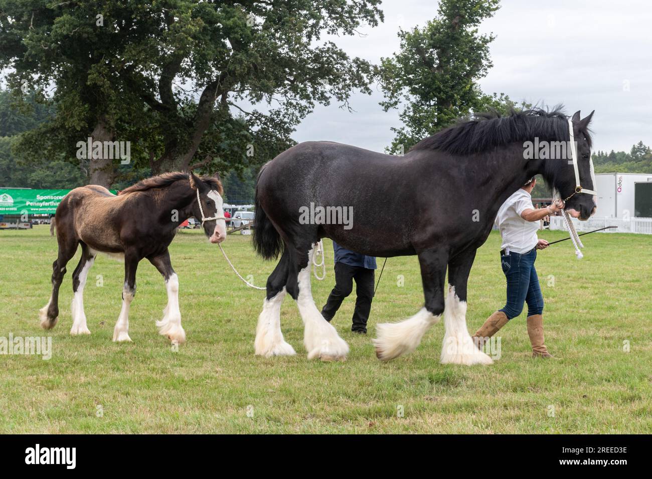 The New Forest and Hampshire County Show in England, UK, July 2023 ...