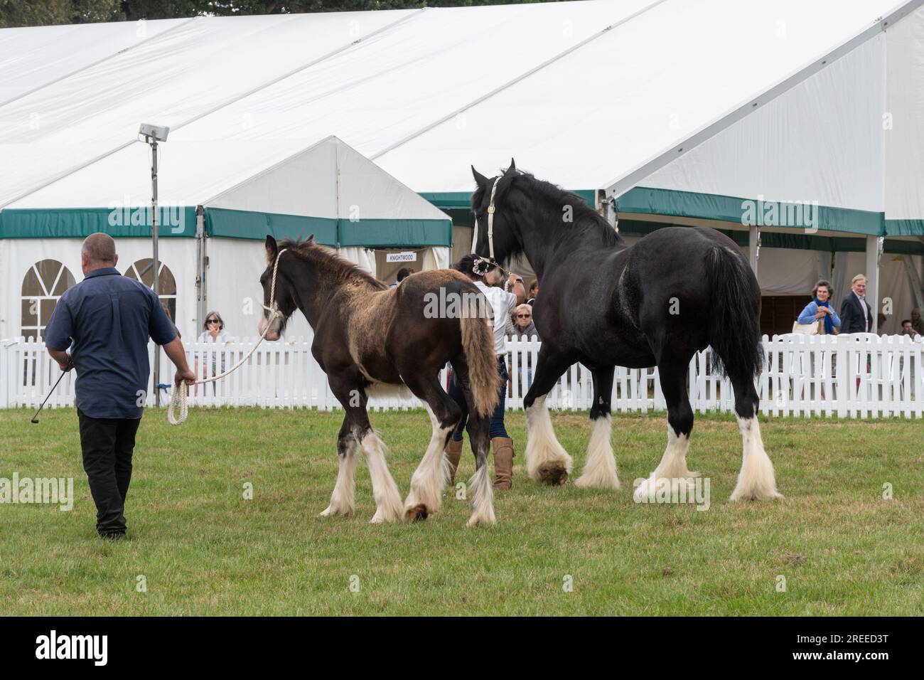 The New Forest and Hampshire County Show in England, UK, July 2023 ...
