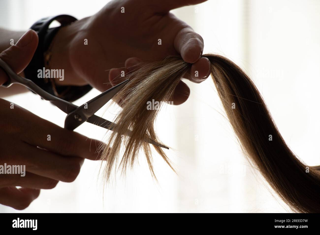 Female hands cut girls hair with scissors, haircut and hairdressing ...