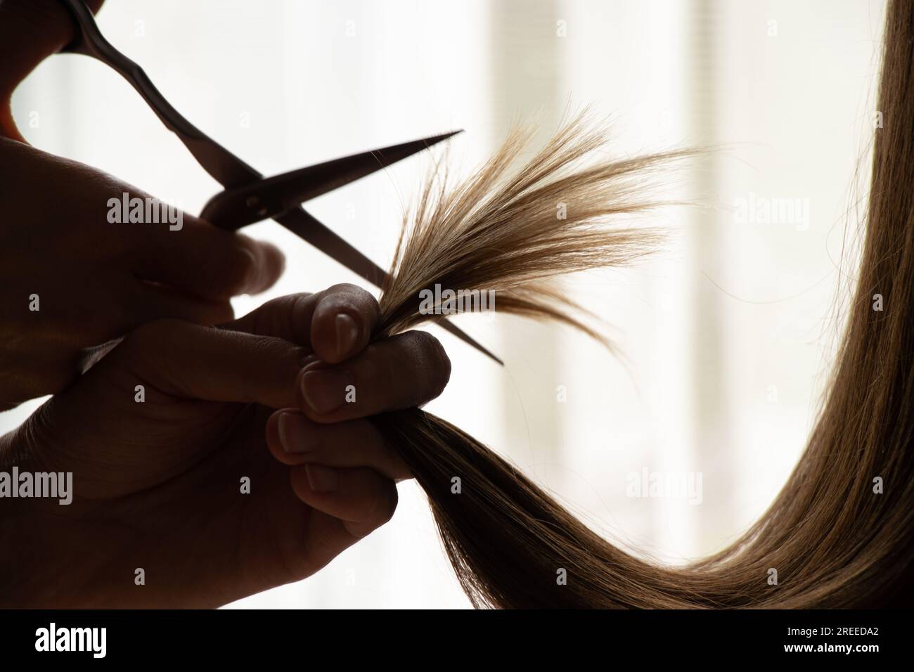 Hands cut hi-res stock photography and images - Alamy