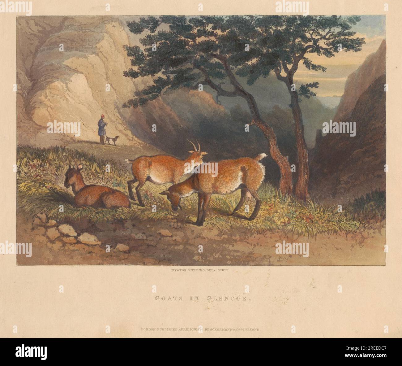 Newton smith fielding hi-res stock photography and images - Alamy