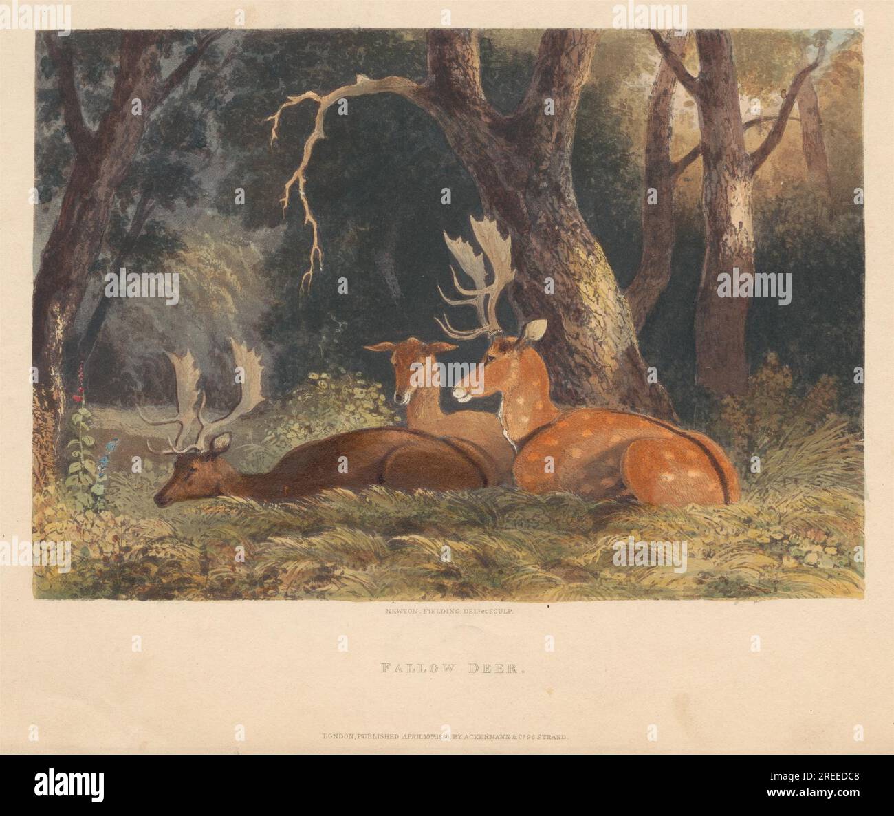 Newton smith fielding hi-res stock photography and images - Alamy