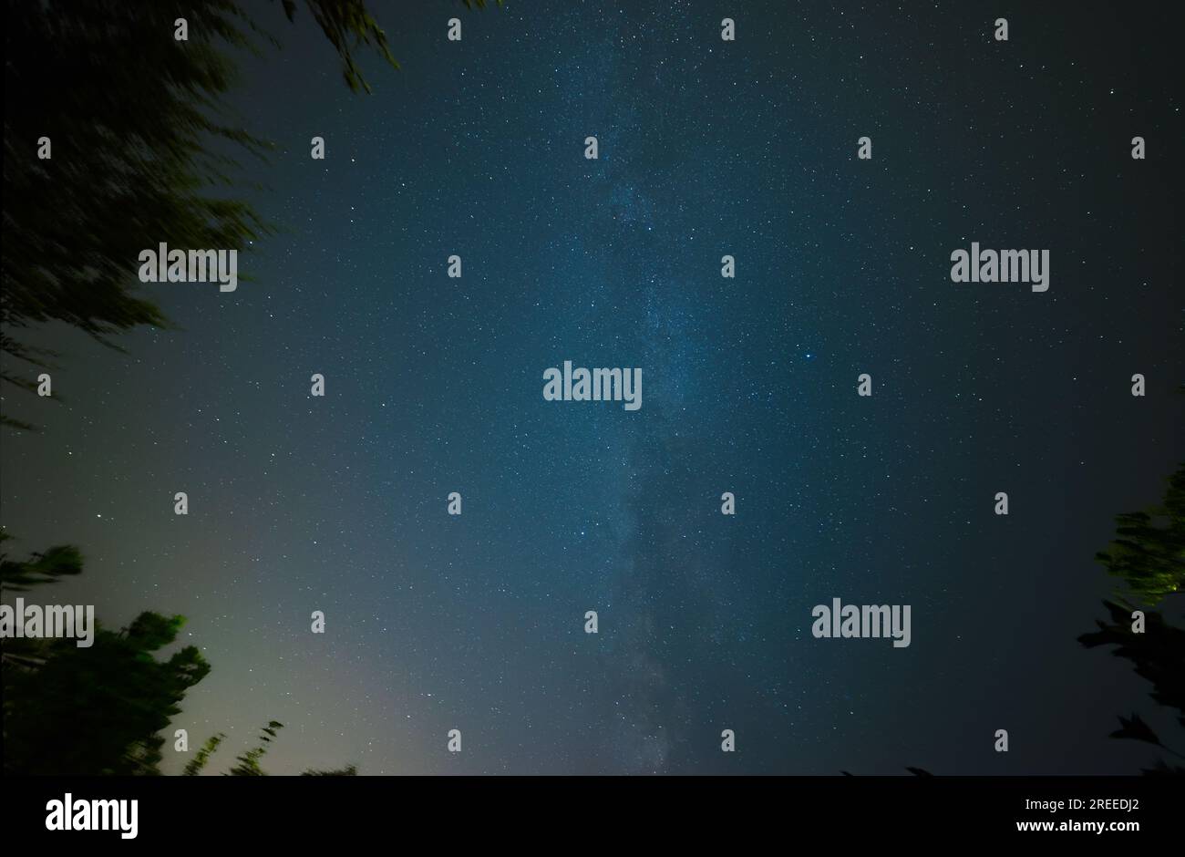 Starry night sky, the Milky Way. Night sky with stars as background ...