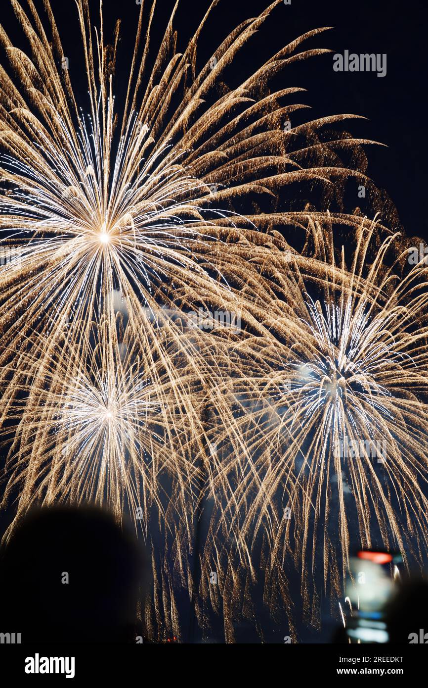 Fireworks during the Zurich festival in 2023 Stock Photo - Alamy