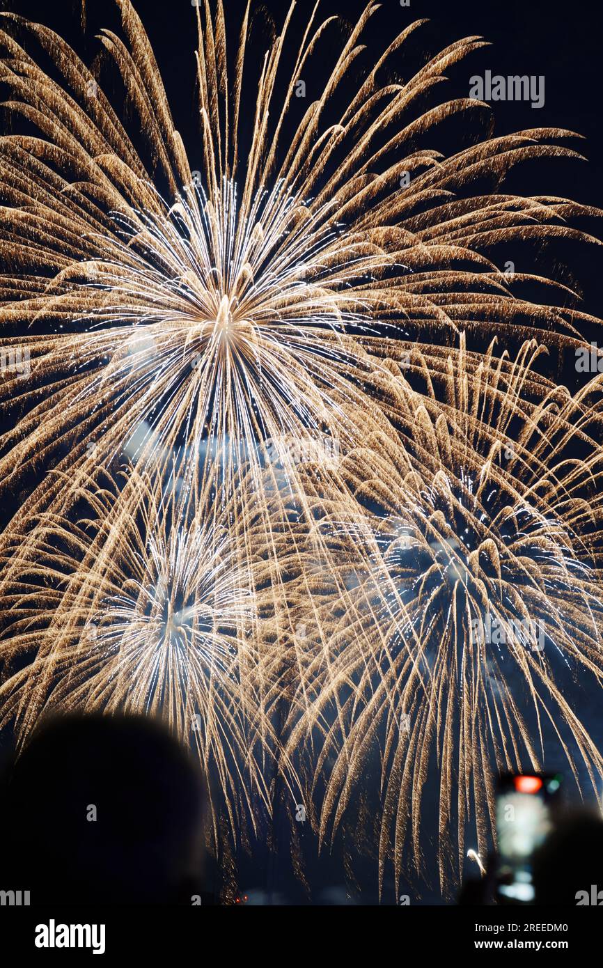 Fireworks during the Zurich festival in 2023 Stock Photo - Alamy