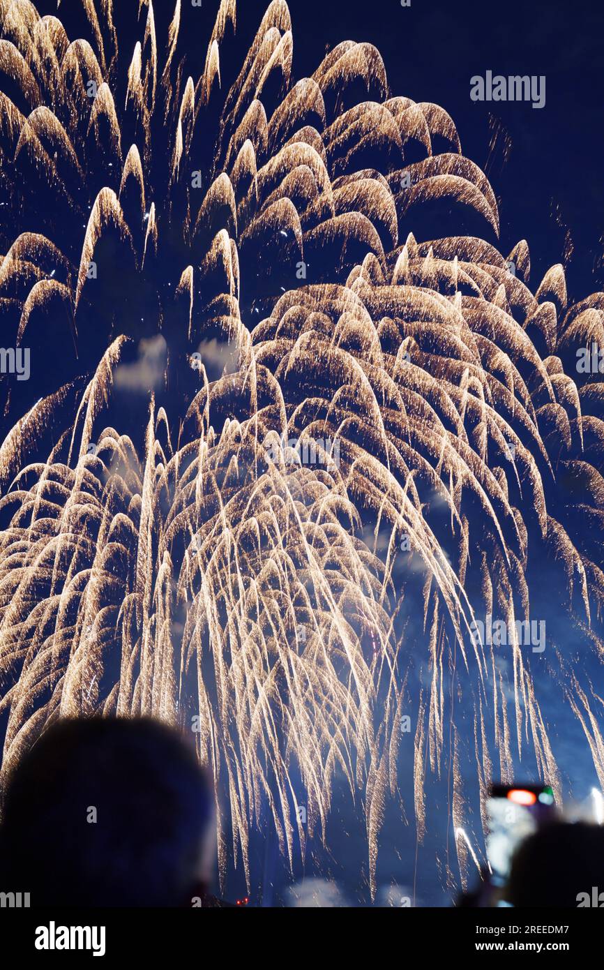 Fireworks during the Zurich festival in 2023 Stock Photo - Alamy