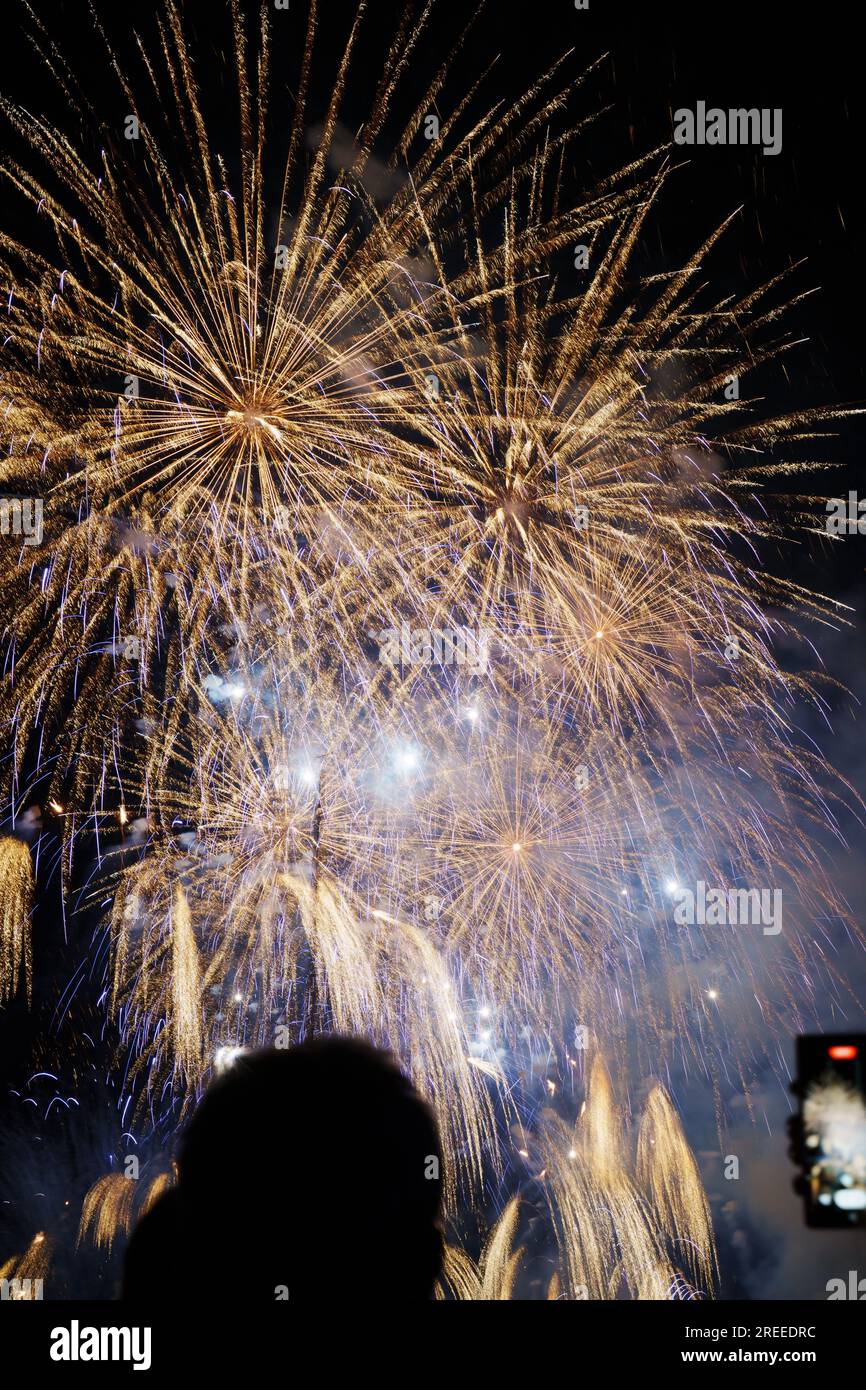 Fireworks during the Zurich festival in 2023 Stock Photo - Alamy