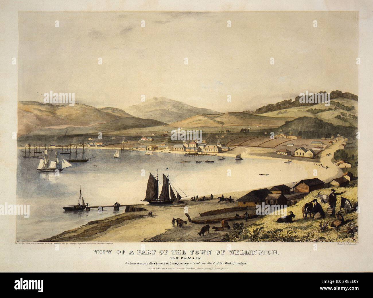 View of a part of the town of Wellington, New Zealand 1841 by Charles ...